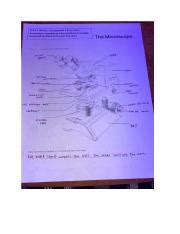 Lab Microscope Docx Course Hero