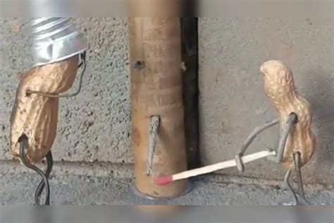 这两个花生居然成精了，还跑去点鞭炮玩，真是把我看的一头雾水！
