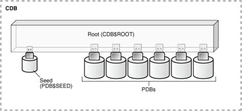 Oracle Database 12c R1 Database Multitenant Oracle Brasil
