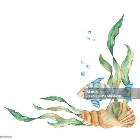 수중 세계 귀여운 물고기 해초 붉은 불가사리 조개껍데기 물방울의 해양 코너 구성 흰색 배경에 고립된 아이들을 위한 수채화 손으로