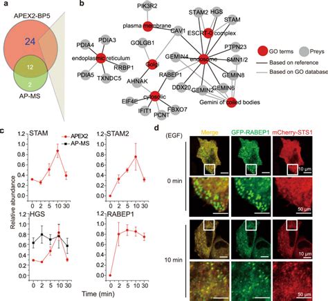 Spatiotemporal Profiling Of Cytosolic Signaling Complexes In Living Cells By Selective Proximity