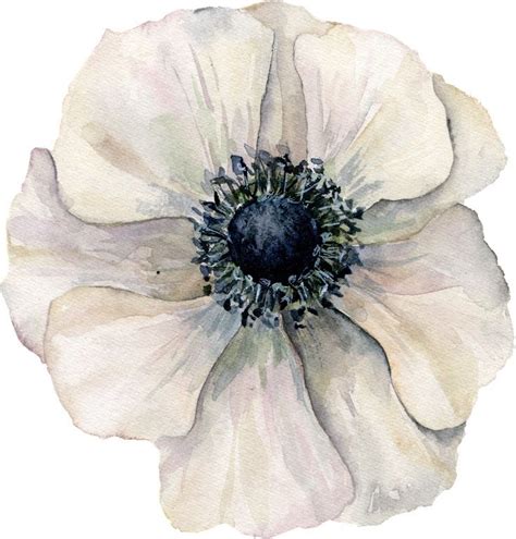 اكتشف عالم الأناقة مع 900 من أفكار تصاميم ورد وورد في 2025 ورود