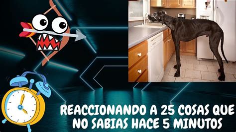 Reaccionando 25 Cosas Que No Sabias Hace 5 Minutos Youtube