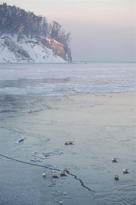 Winter Sea Ice Floe Stock Image Image Of Snow Cliff 20991037