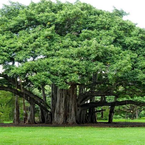 Global And Stochastic Analysis Youtube