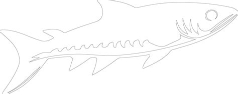 Barracuda Outline Silhouette 38488808 Vector Art At Vecteezy