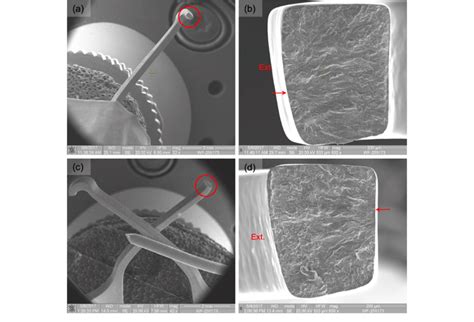Representative Scanning Electron Microscopy Images Showing The Fracture