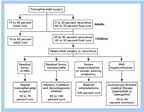 Adrenal Flashcards Quizlet