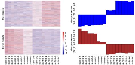 Expression Of Sex Biased Expression Modules The Heat Map On Left Download Scientific Diagram