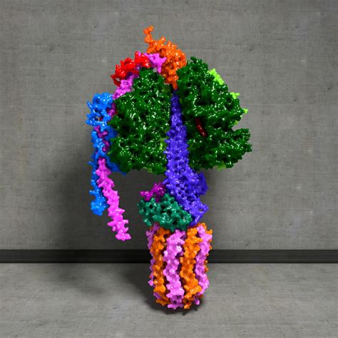 3d Yeast F1fo Atp Synthase Atp