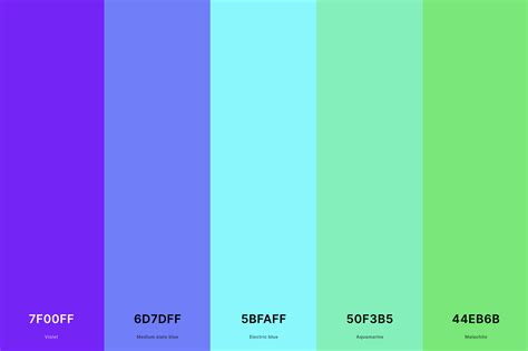 25 Best Violet Color Palettes With Names And Hex Codes Creativebooster