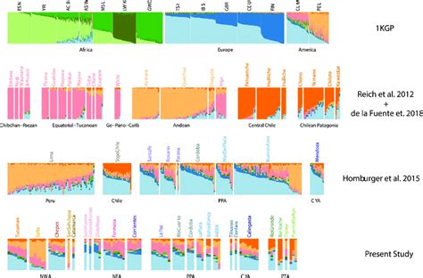admixture analyses in a worldwide context admixture for k 8 1 st