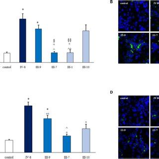 Serum Induced C And C B Deposition On Human Microvascular Download Scientific Diagram