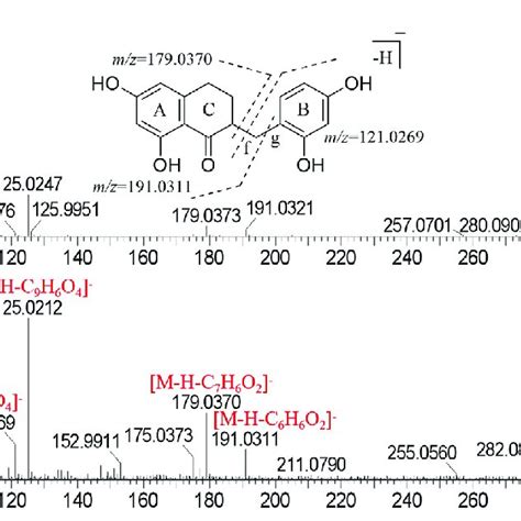 Mass Spectrogram In Negative Mode And Fragmentation Pathways Of Download Scientific Diagram