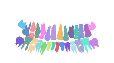 Teeth Segmentation On Dental X Ray Images Dataset Ninja