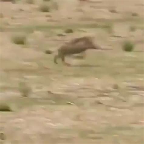 Sudharsan Prabhakaran Posted On Linkedin