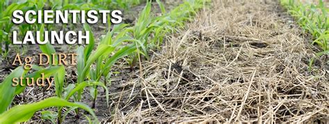 Issue 1253 College Of Agriculture And Life Sciences