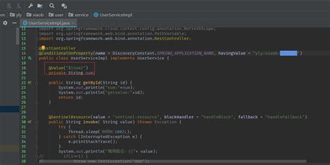 Discovery Guide Service Nacos Issue Nepxion Discovery Github
