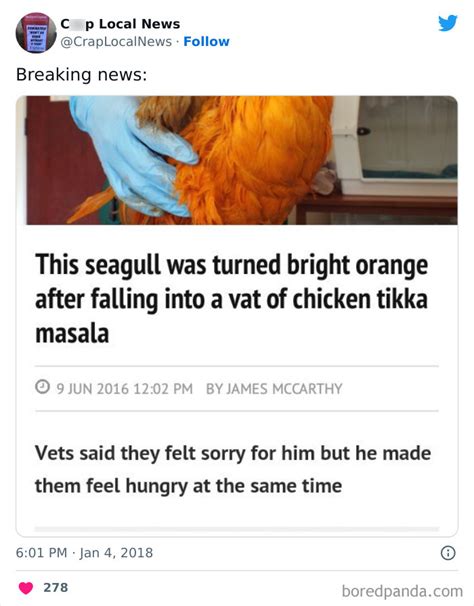 50 Fun Headlines From Local News That Are Unhinged And Bizarre Bored