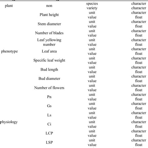 The Core Structure Of The Rdf Framework Download Scientific Diagram