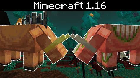 Minecraft 116 Zoglin Scared Hoglin Superspeed Strider Youtube