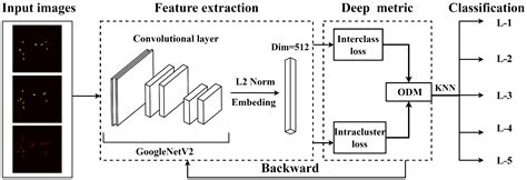 Air Traffic Complexity Assessment Based On Ordered Deep Metric