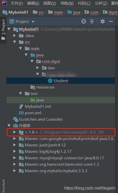 It菜鸟遇到的那些错误——idea中string和integer类型识别不了idea Integer报错 Csdn博客