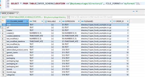 How Do I Configure The File Format Object So That The Inferschema