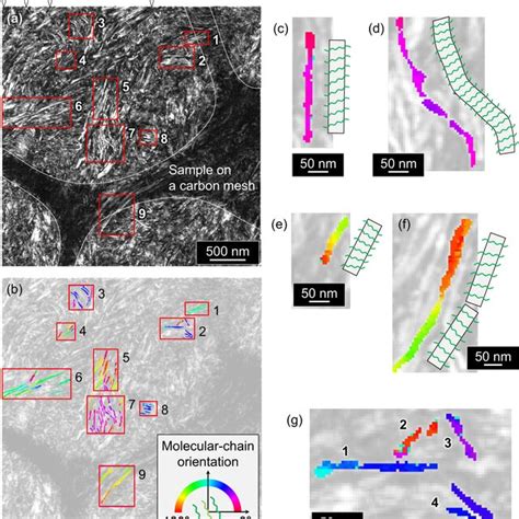 Analysis Of Molecular Chain Orientations A Reconstructed Dark Field