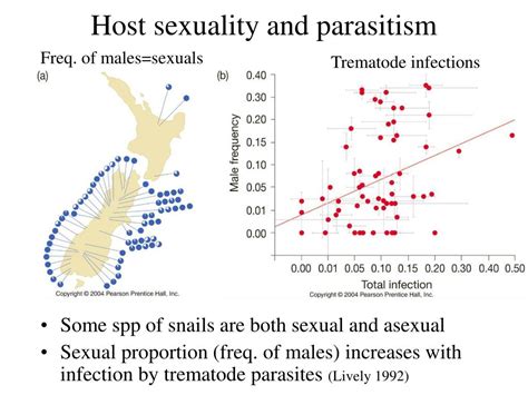 PPT Sex And Sex Ratio PowerPoint Presentation Free Download ID
