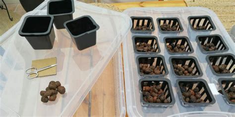 Dwc Hydroponics For Beginners A Diy Guide Matt Magnusson