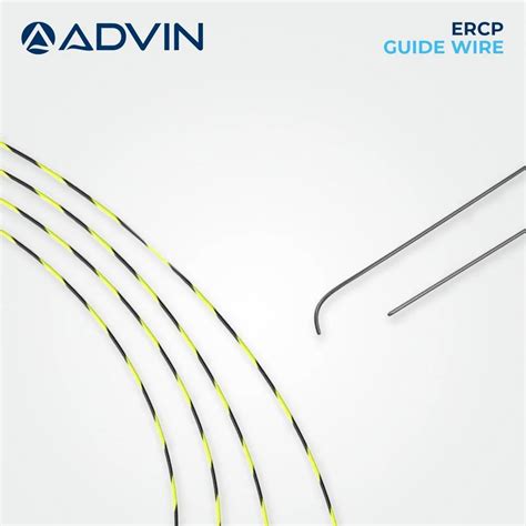 Ercp Guide Wire At ₹ 1673 Piece Ahmedabad Id 2850262108962