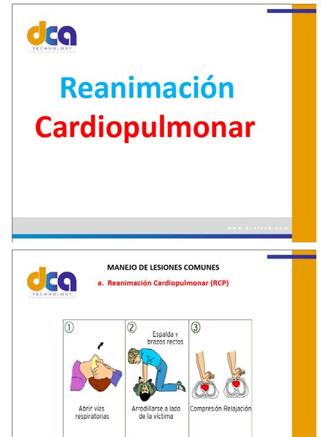 Reanimación Cardiopulmonar Pdf Paro Cardíaco Reanimación