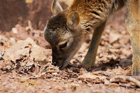 Tuping Bilder Durchsuchen 152 401 Archivfotos Vektorgrafiken Und Videos Adobe Stock