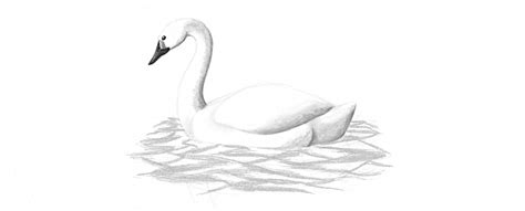 How To Draw Water In Nature Envato Tuts