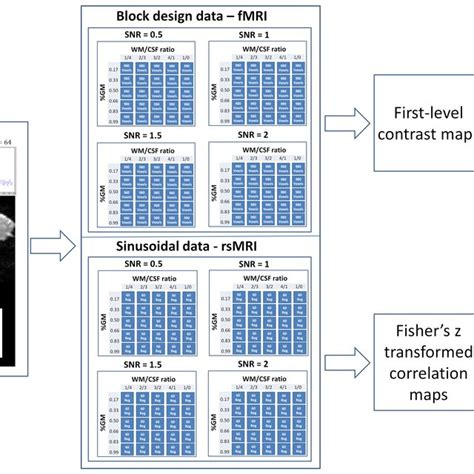 Schematic Overview Of The Data Generation Procedure And Statistical Download Scientific Diagram