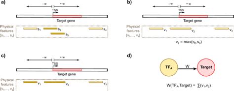 3 Steps Involved In The Inference Algorithm For Physical Regulatory