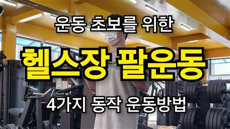 헬스장 팔운동 운동 초보를 위한 4가지 동작 운동방법 Youtube