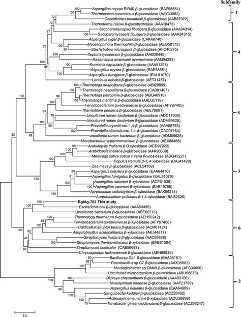 Phylogenetic Analysis Of Characterized Andor Uncharacterized Glycoside Download Scientific