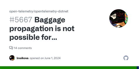 Baggage Propagation Is Not Possible For Instrumentations Without Depending On Opentelemetryapi
