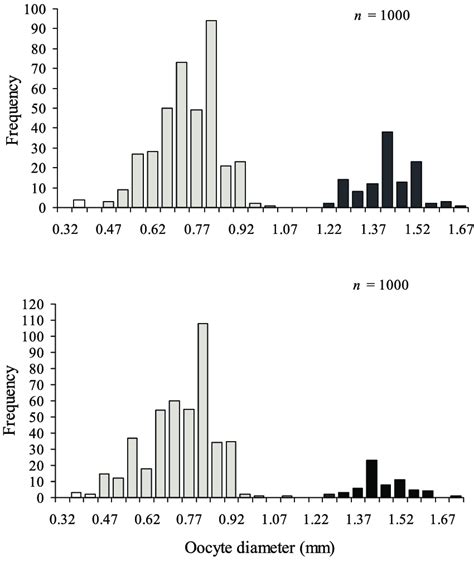 Frequency Distribution Of Oocyte Diameter In Gravid Ovaries Of Two Download Scientific Diagram