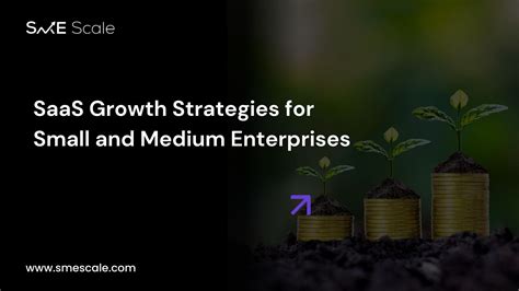 Saas Growth Strategies For Smes Leveraging Sme Scale For Sustainable Success Sme Scale