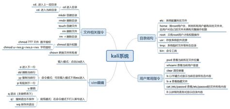安全 网安基础——windows系统与kali Linux系统常用指令 个人文章 Segmentfault 思否