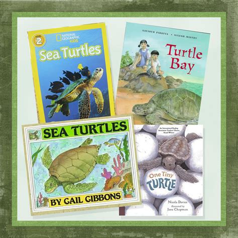 turtles using source material and more multiplication mrs gervais