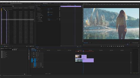 How To Use Luts In Premiere Pro 50 Free Luts Download Artofit