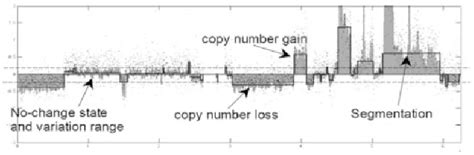 figure 1 from a probe density based analysis method for array cgh data simulation