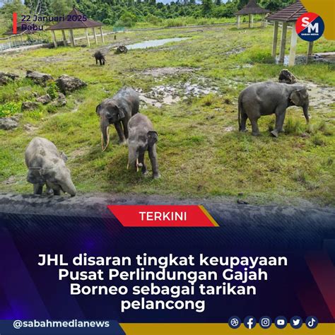 Sabah Media Jabatan Hidupan Liar Jhl Sabah Disaran