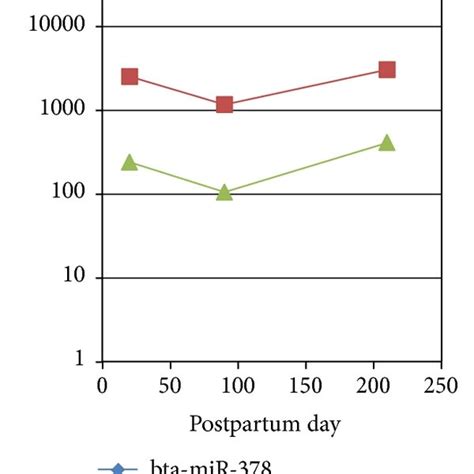 The Expression Patterns Of 25 Mirnas Belonging To Five Classifications