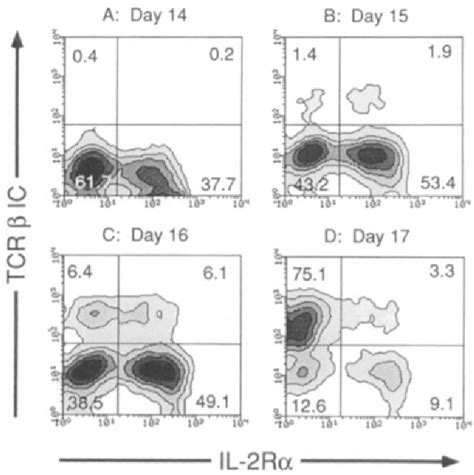 Figure 3 From Regulation Of Thymocyte Development Through Cd3 Ii