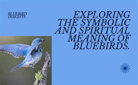 Bluebird Meaning And Symbolism Sign Of Hope And Happiness The20co